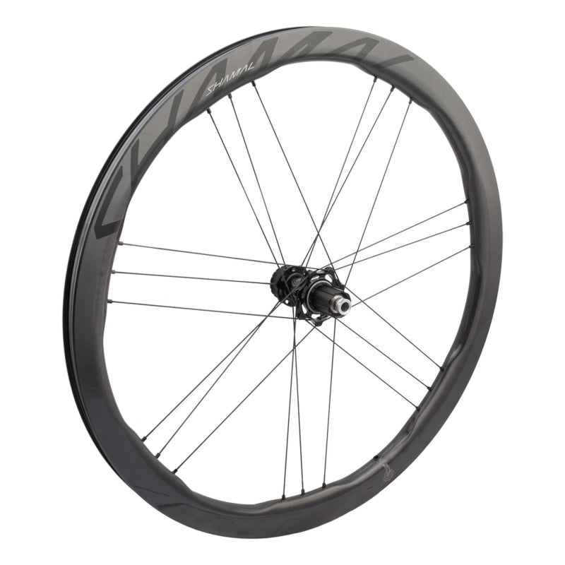 Campagnolo Shamal Dual Profile Carbon 700c Wheel SET – Dynamite Bike Lab